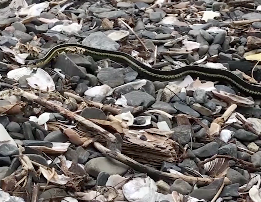 Tire(d) - Greetings From IsolationGreetings From Isolation